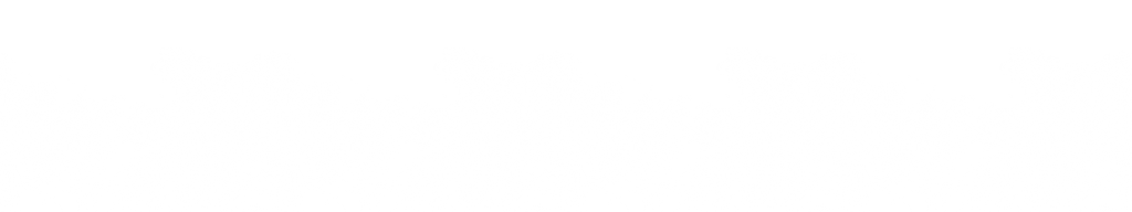 Cloud Solution Provider and Public Sector Reseller for Federal Govt.